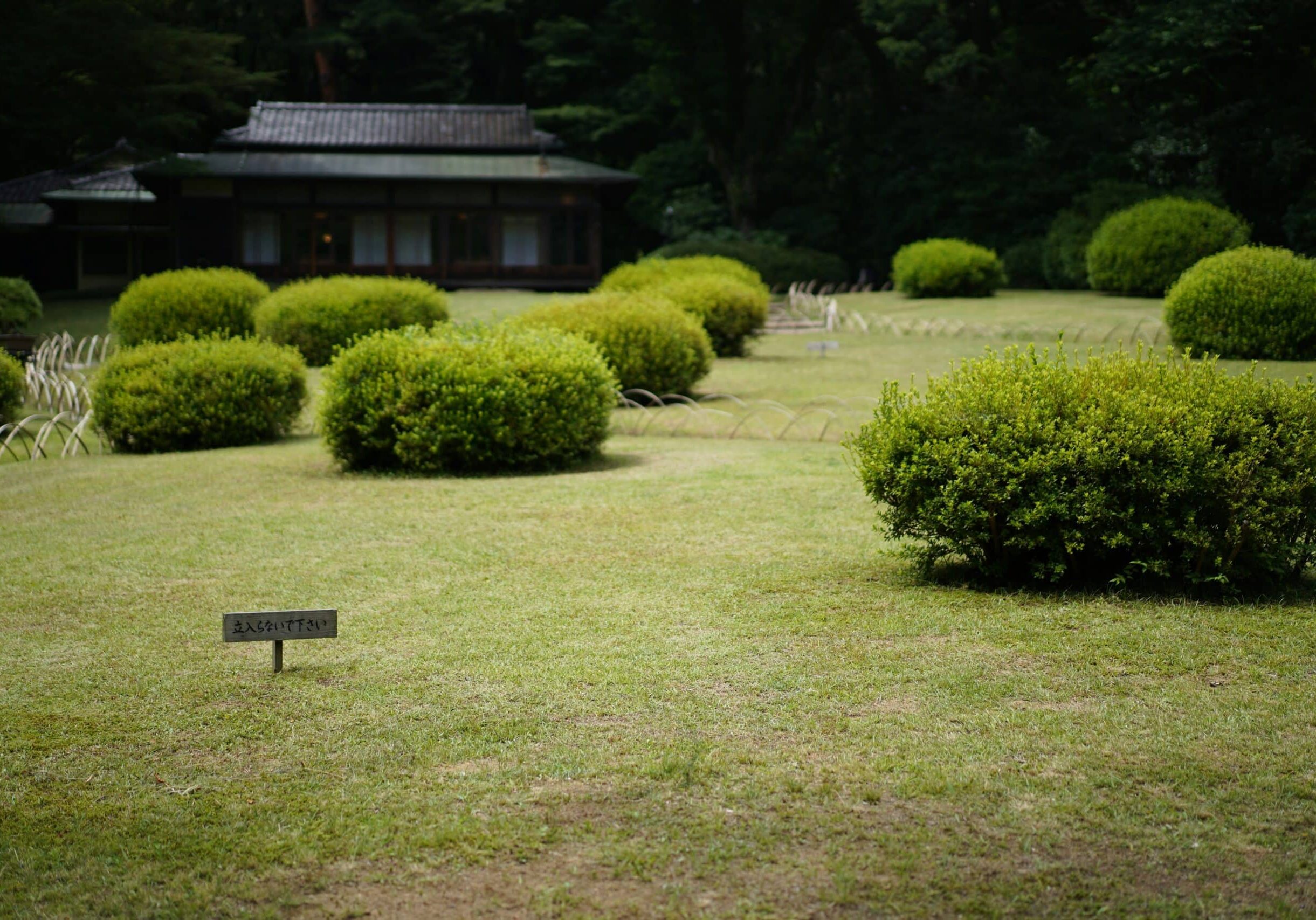 Landscaping Template Page - Camp One Step