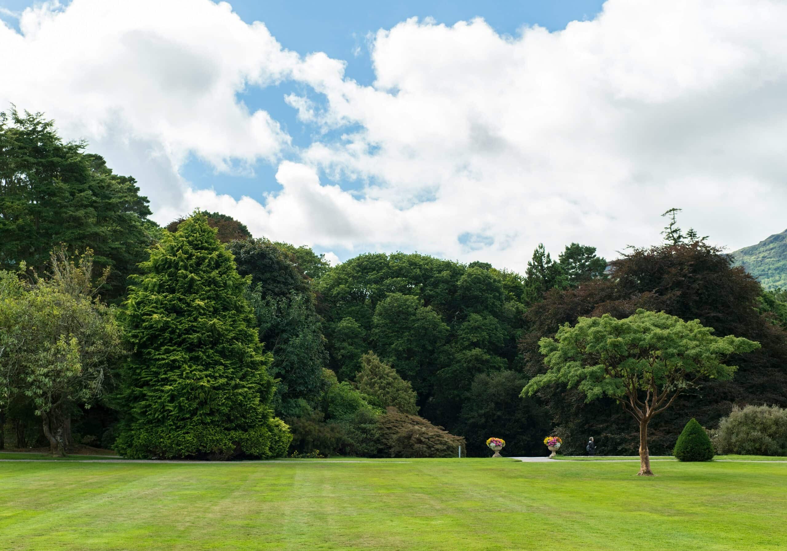 Landscaping Template Page - Camp One Step